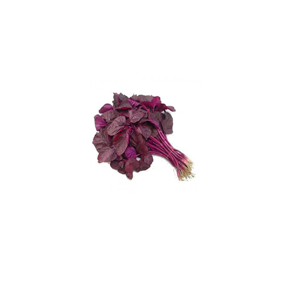 French Beans (Kg) - Ello Fresh Uganda